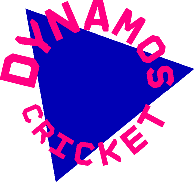 Official Llandudno Cricket Club Website - Home of the Lions | Llandudno CC